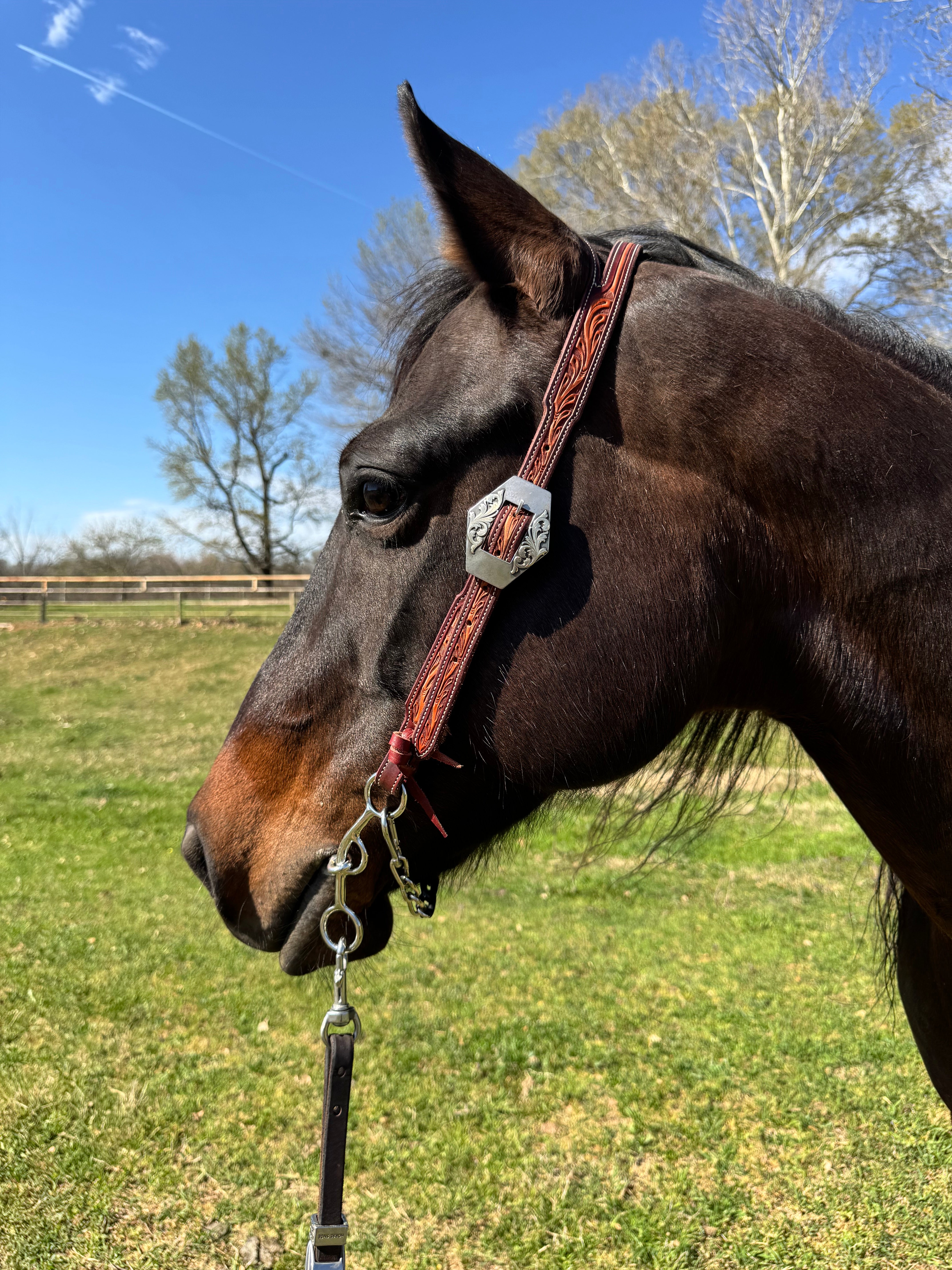 Equine Bits – Out West Tack & Supply Co